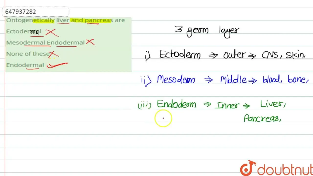 [Punjabi Solution] Ontogenetically liver and pancreas are