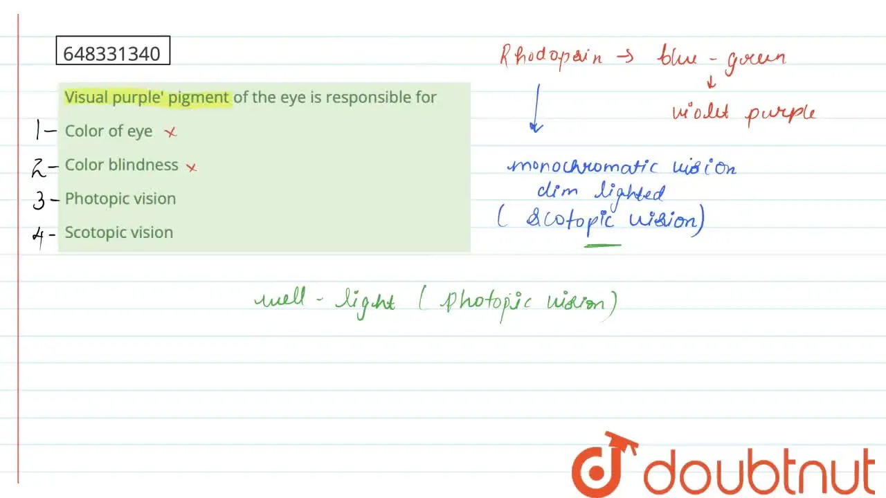 Visual purple' pigment of the eye is responsible for