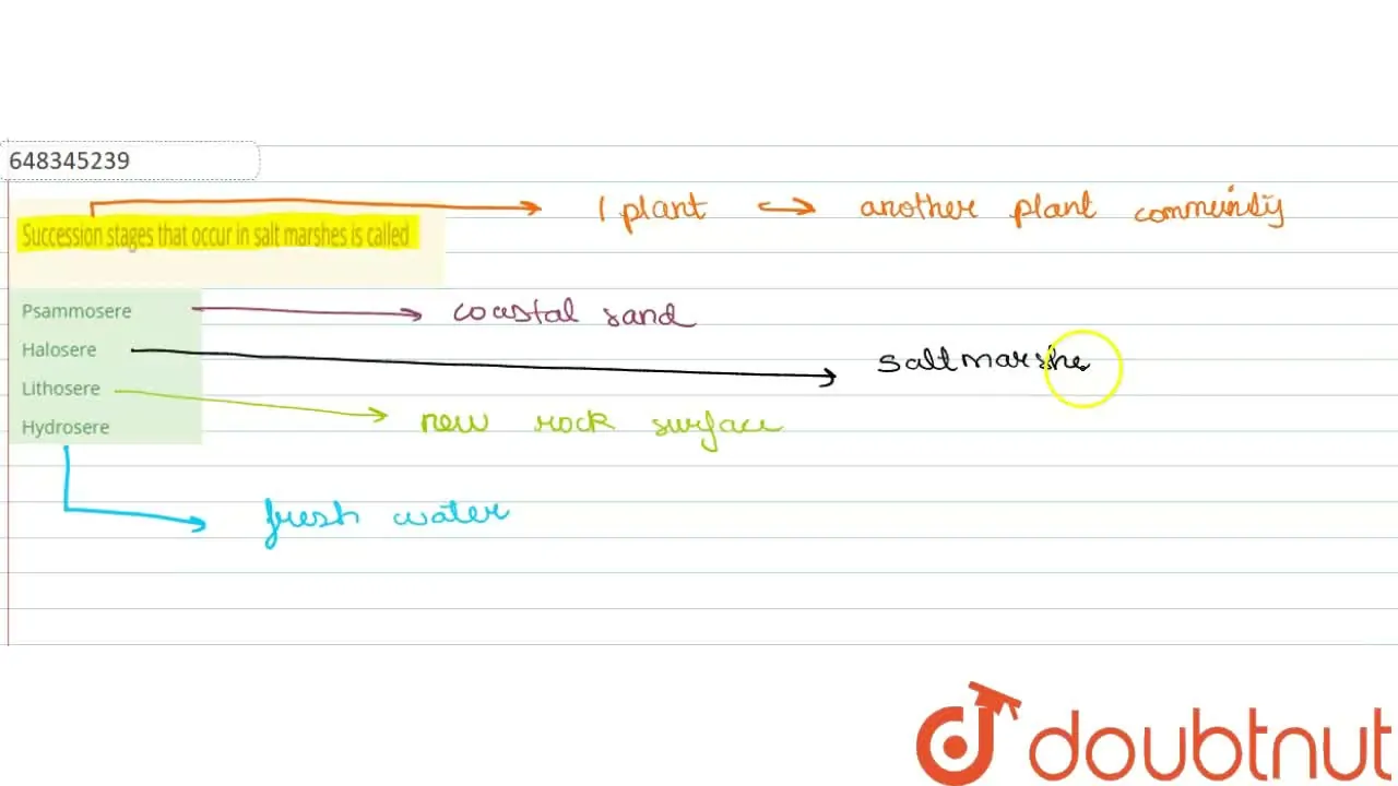 Succession stages that occur in salt marshes is called