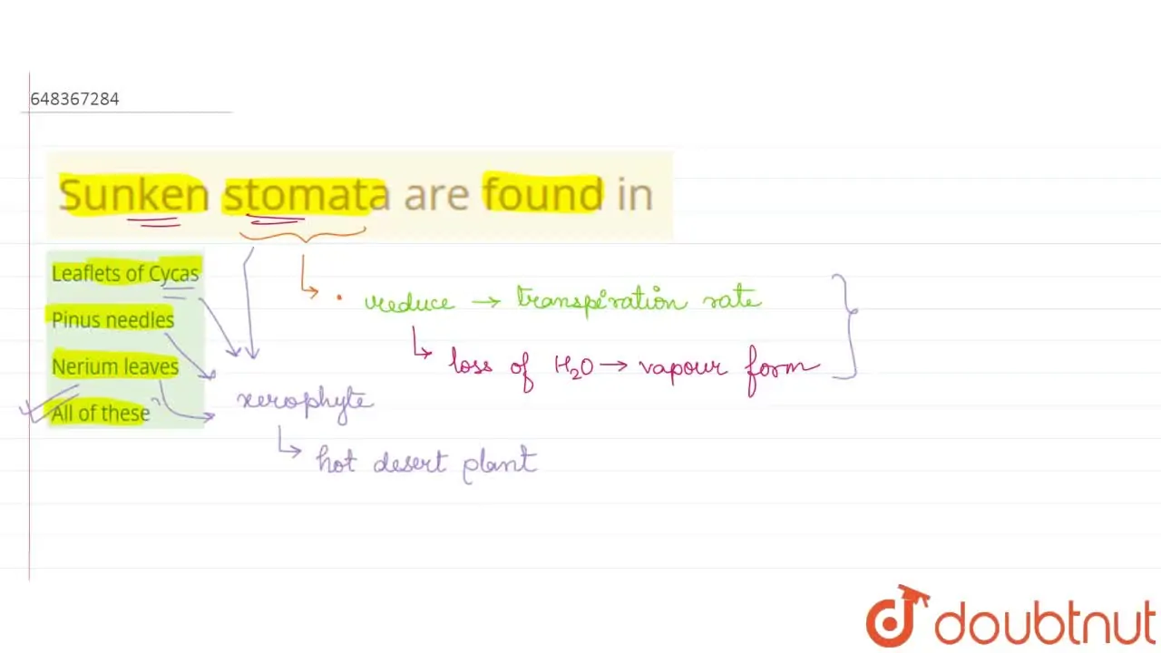 Sunken stomata are found in