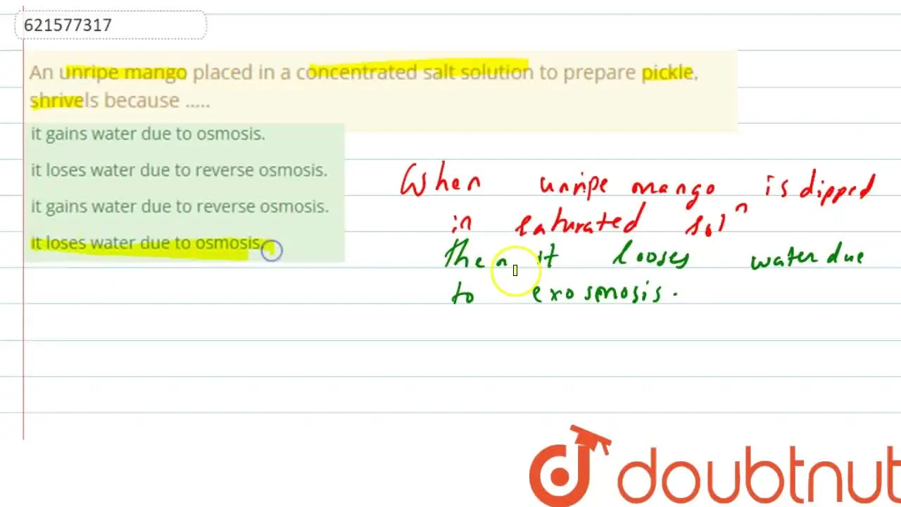 [Gujrati] An unripe mango placed in a concentrated salt solution to pr