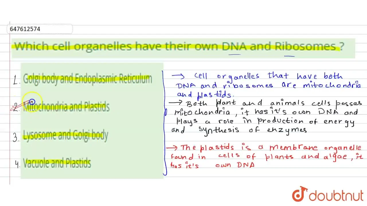 Which cell organelles have their own DNA and Ribosomes