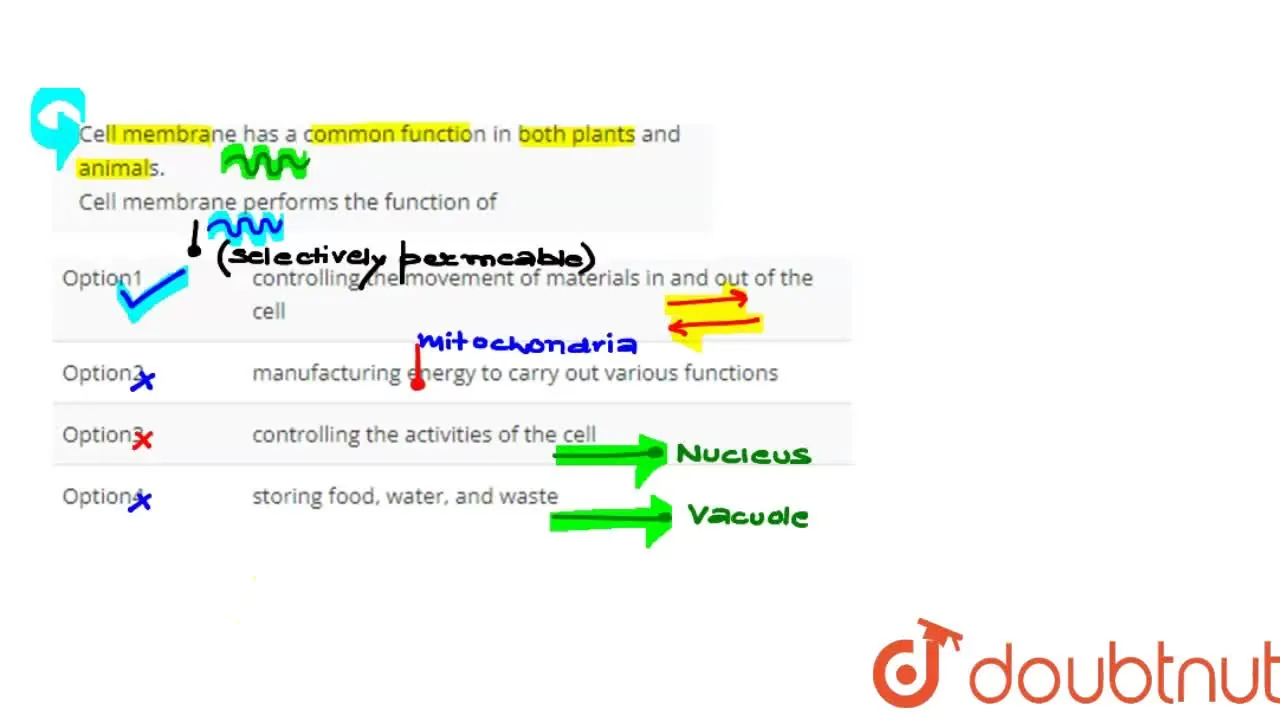 controlling the activities of the cell