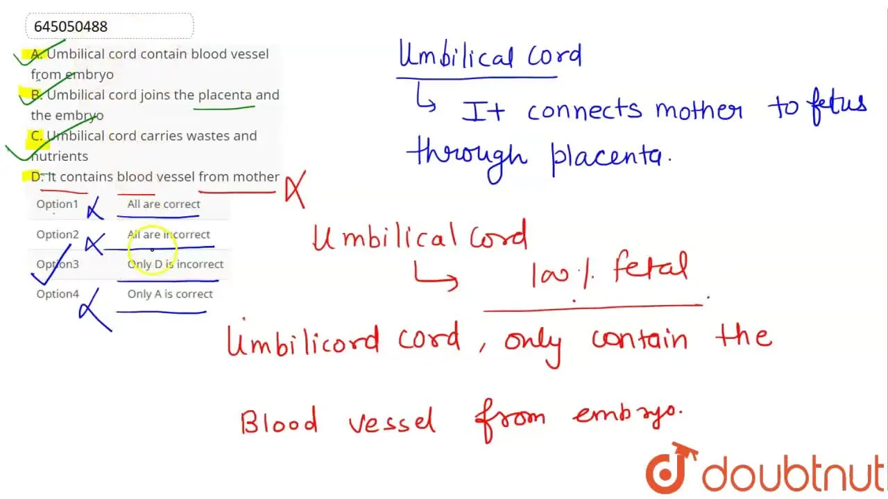 A. Umbilical cord contain blood vessel from embryo B. Umbilical