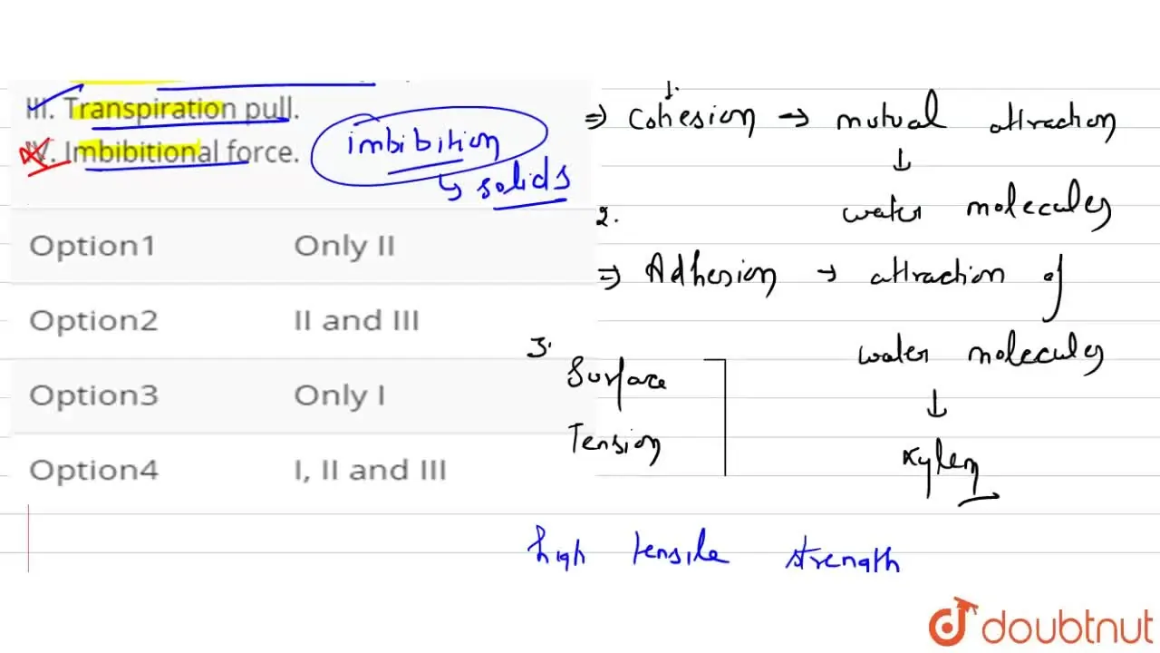 The basic features of cohesion-tension theory are I. continuous wate