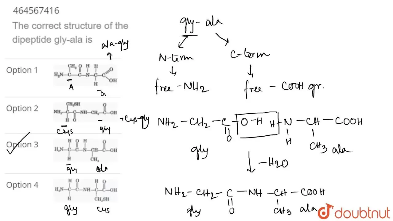 The correct structure of the dipeptide gly-ala is