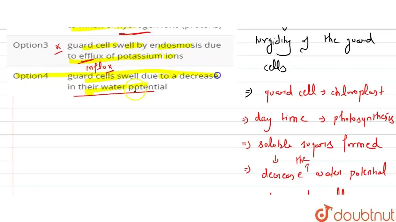 guard cell swell by endosmosis due to efflux of potassium ions