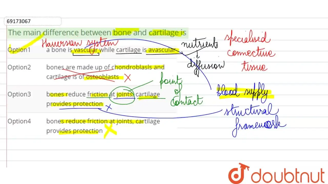 bones reduce friction at joints, cartilage provides protection