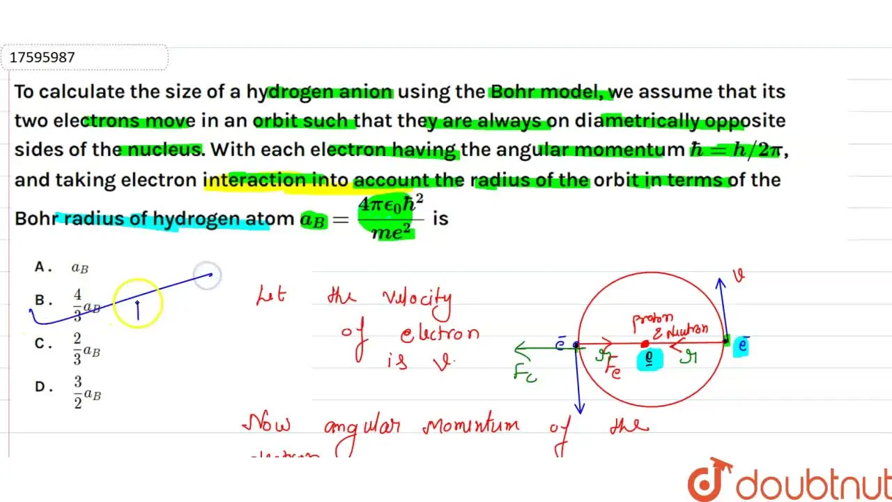 To calculate the size of a hydrogen anion using the Bohr model, we ass