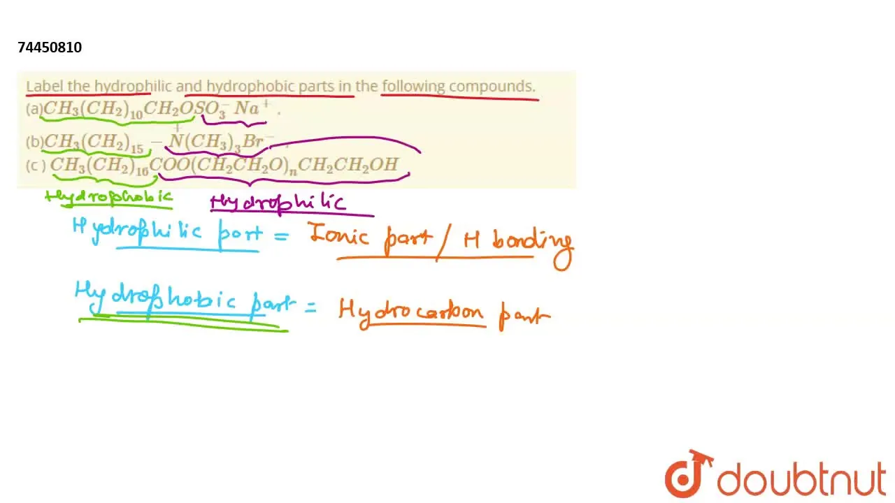 Label the hydrophilic and hydrophobic parts in the following compounds