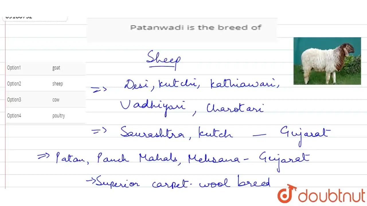 Patanwadi is the breed of