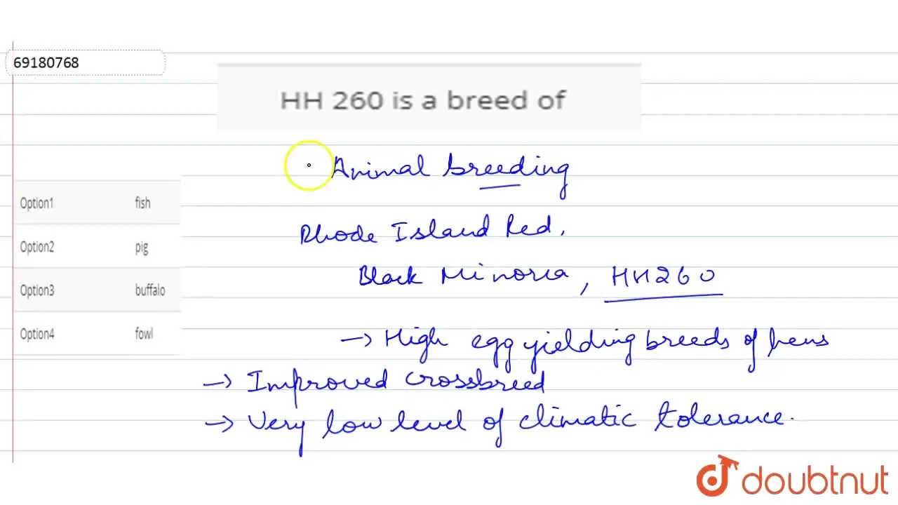 HH 260 is a breed of