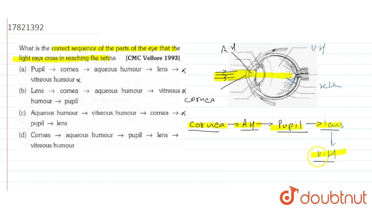 Aqueous humour to vitreous humour to cornea to pupil to lens
