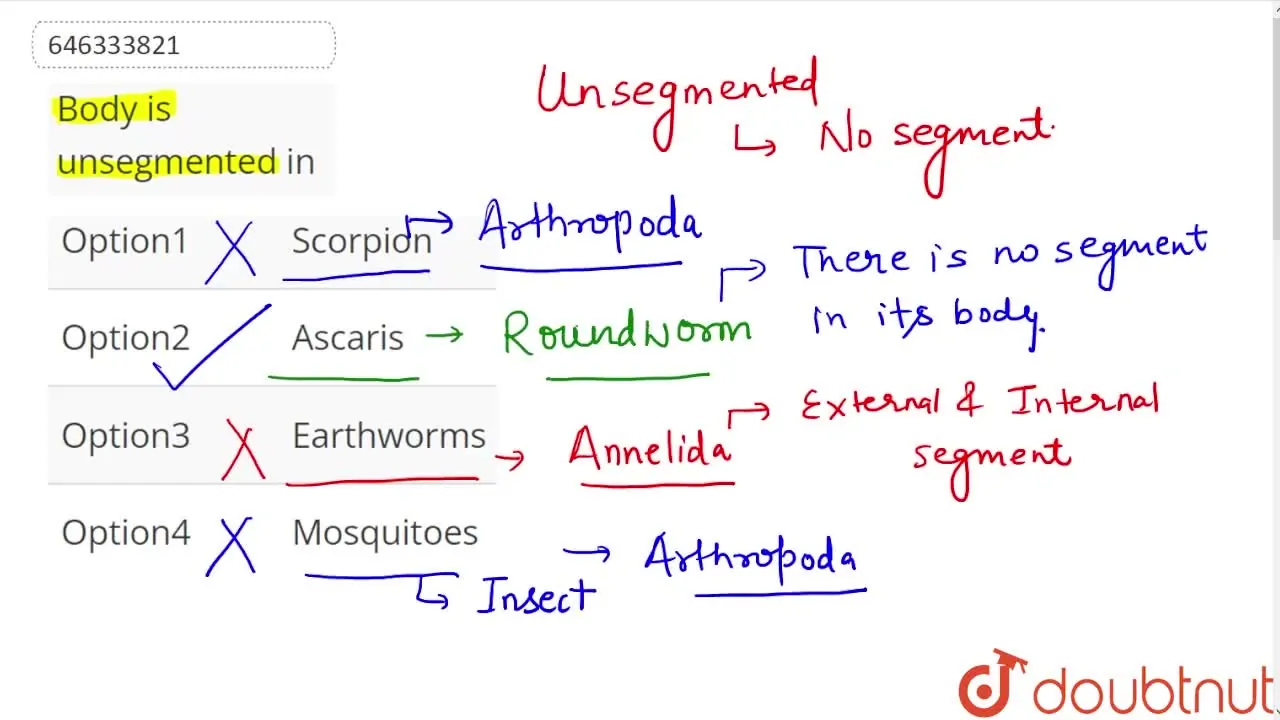 Body is unsegmented in
