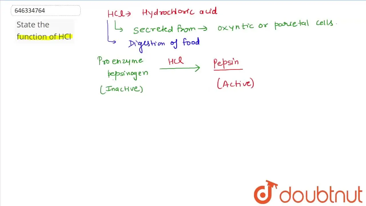 State the function of HCl