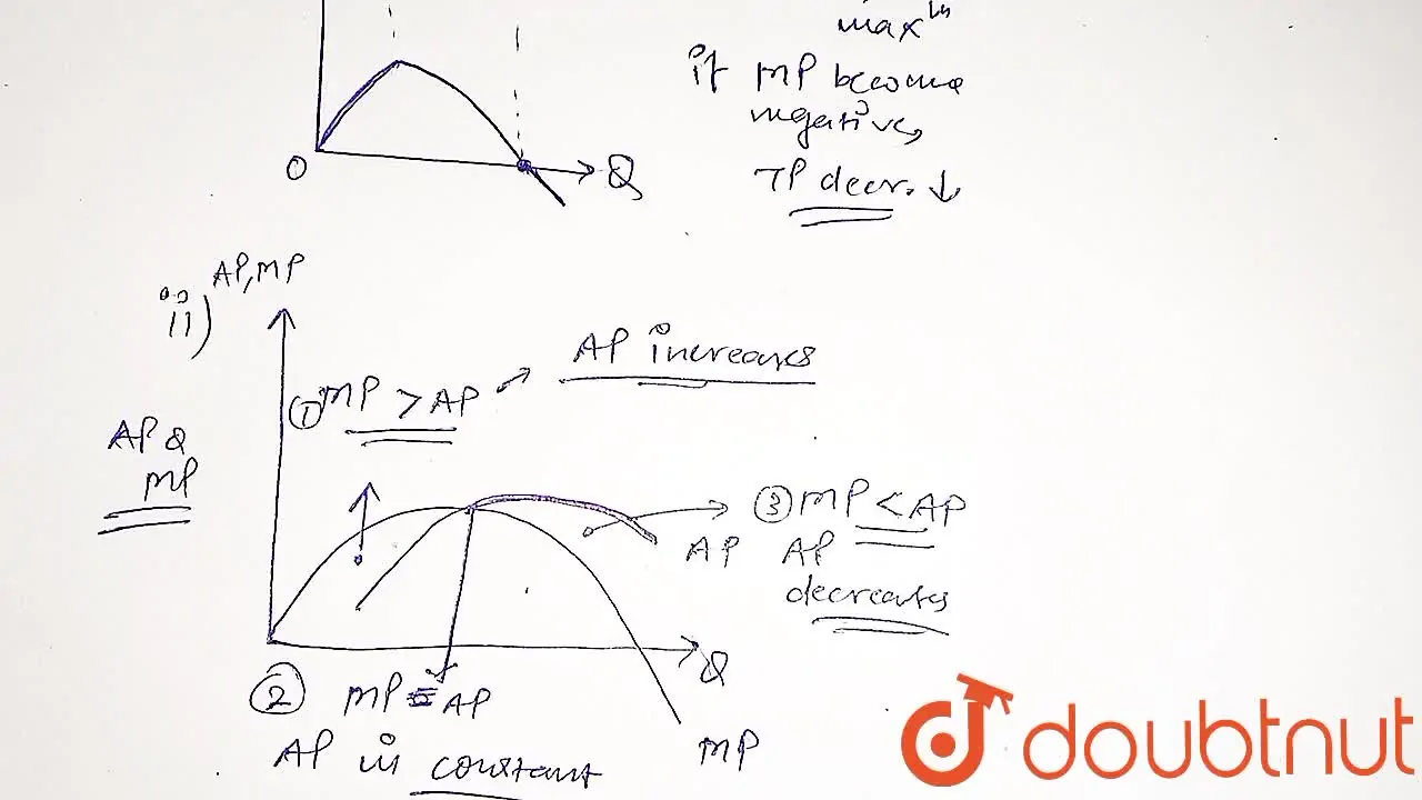 Discuss the relationship between : (i) MP and TP, (ii) AP and MP.