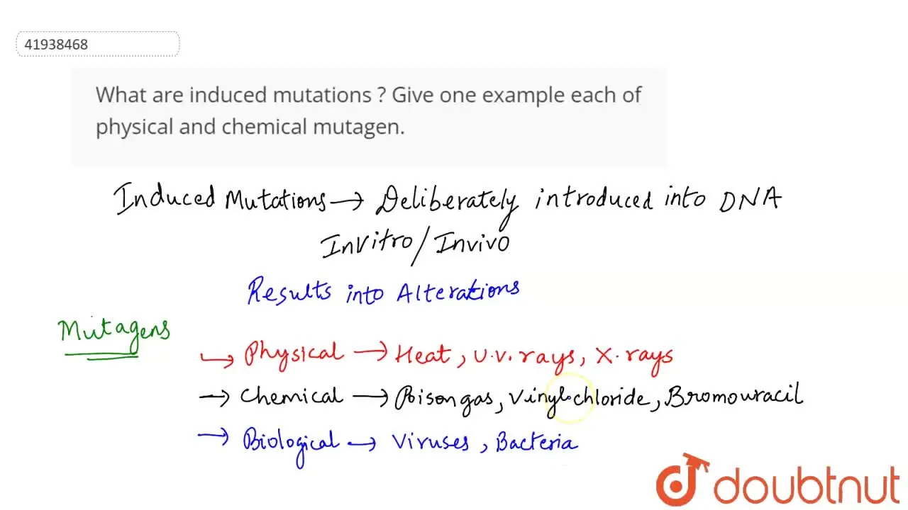 What are induced mutations ? Give one example each of physical and che