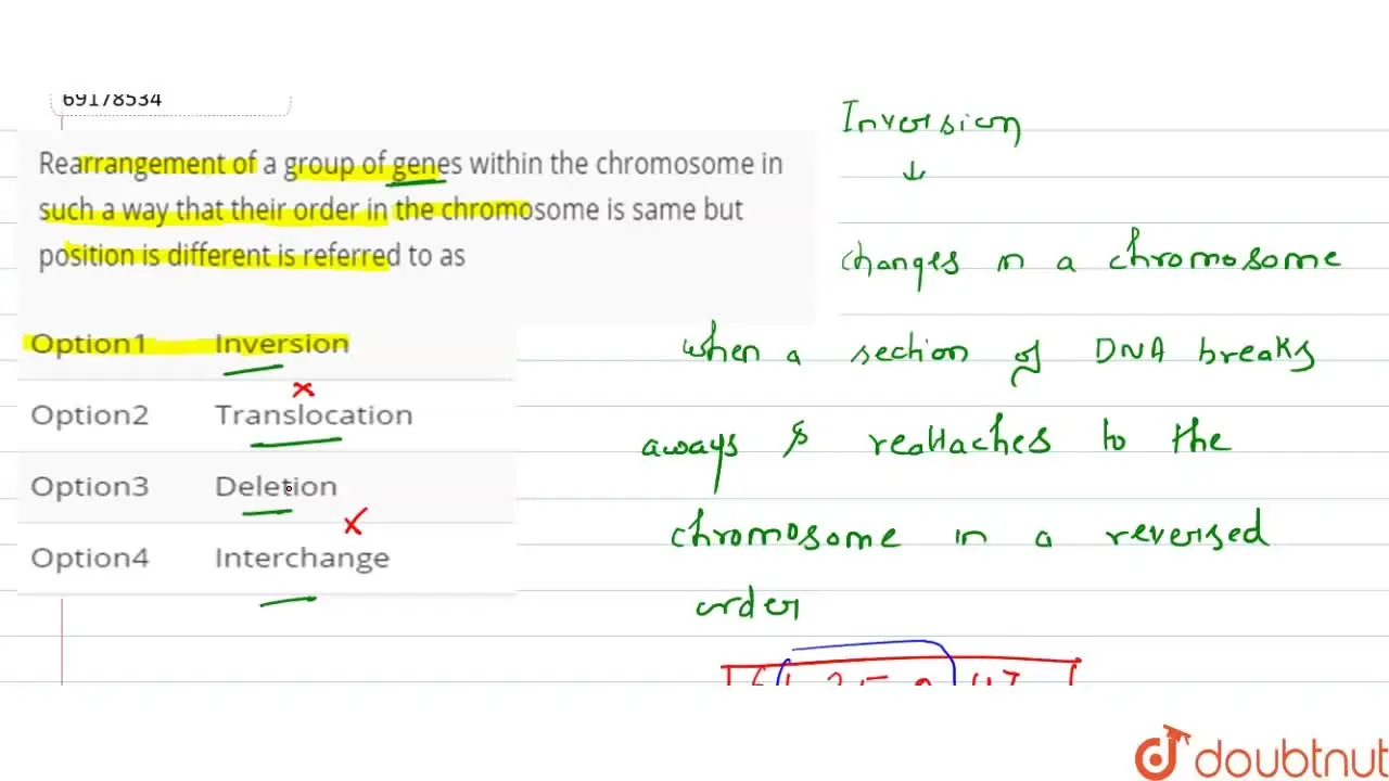 Rearrangement of a group of genes within the chromosome in such a way