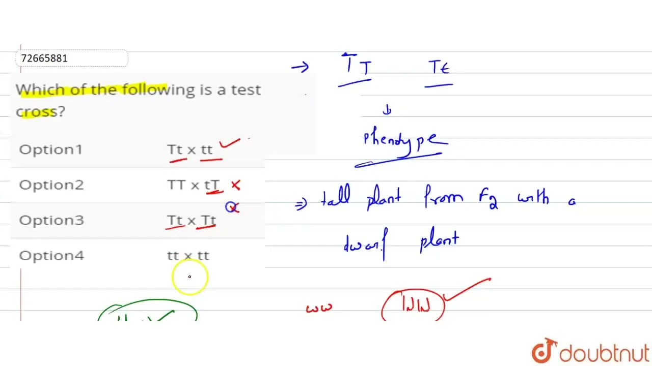 Which of the following is a test cross?