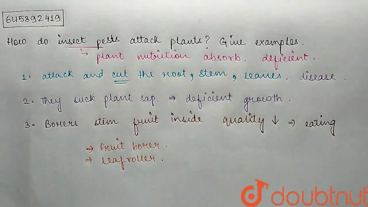 How do insect pests attack plants ? Give examples.