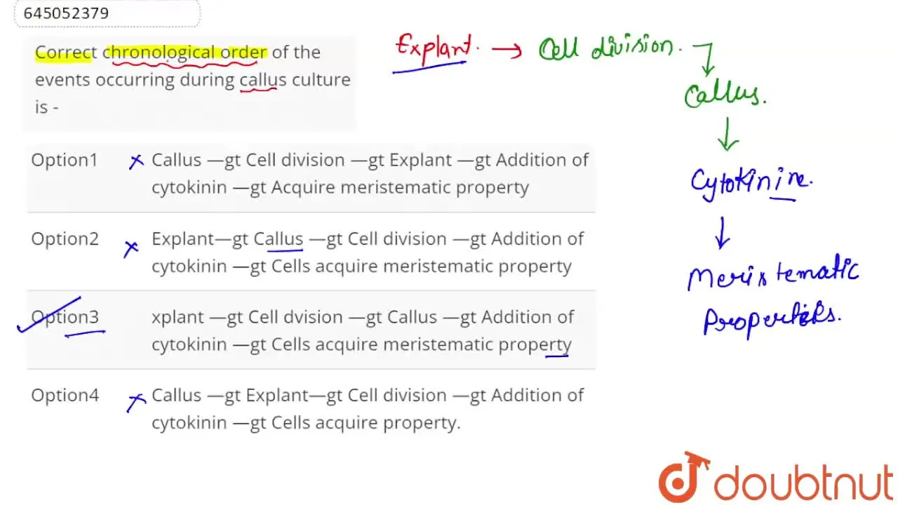 xplant —gt Cell dvision —gt Callus —gt Addition of cytokinin —gt Cells