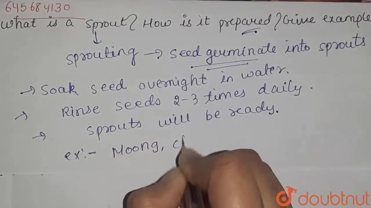 What is a sprout?How is it prepared?Give example.