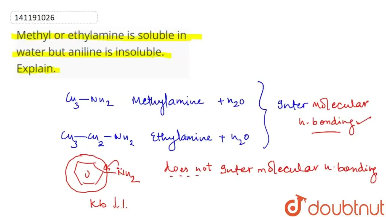 Methyl or ethylamine is soluble in water but aniline is insoluble. Exp