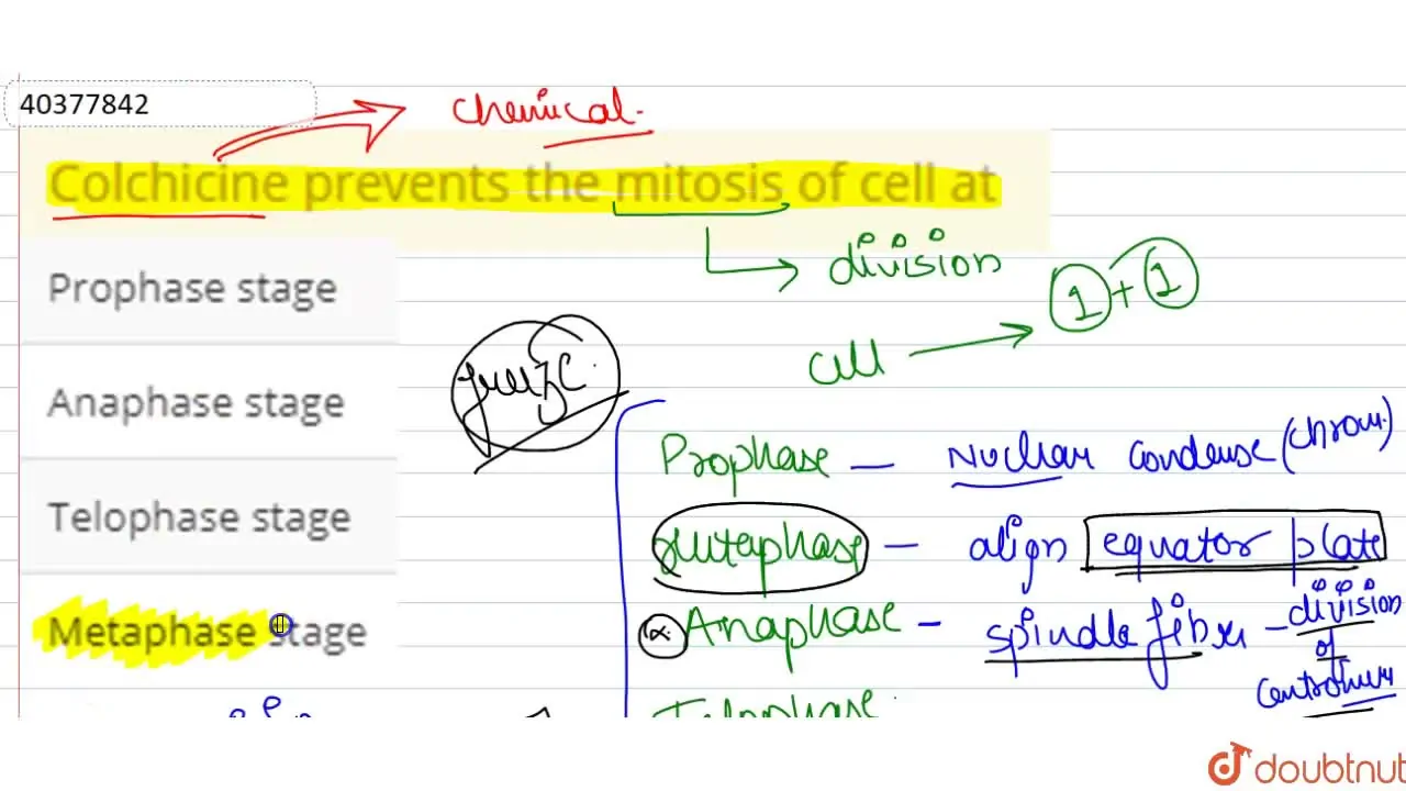 Colchicine prevents the mitosis of cell at