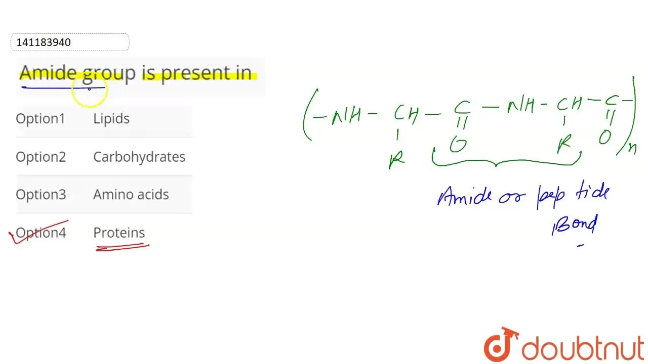 Amide group is present in