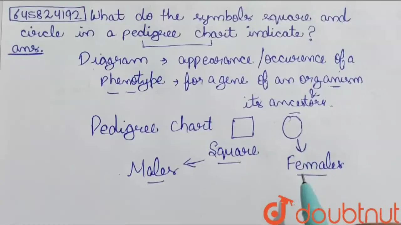 What do the symbols square and circle in a pedigree chart indicate?