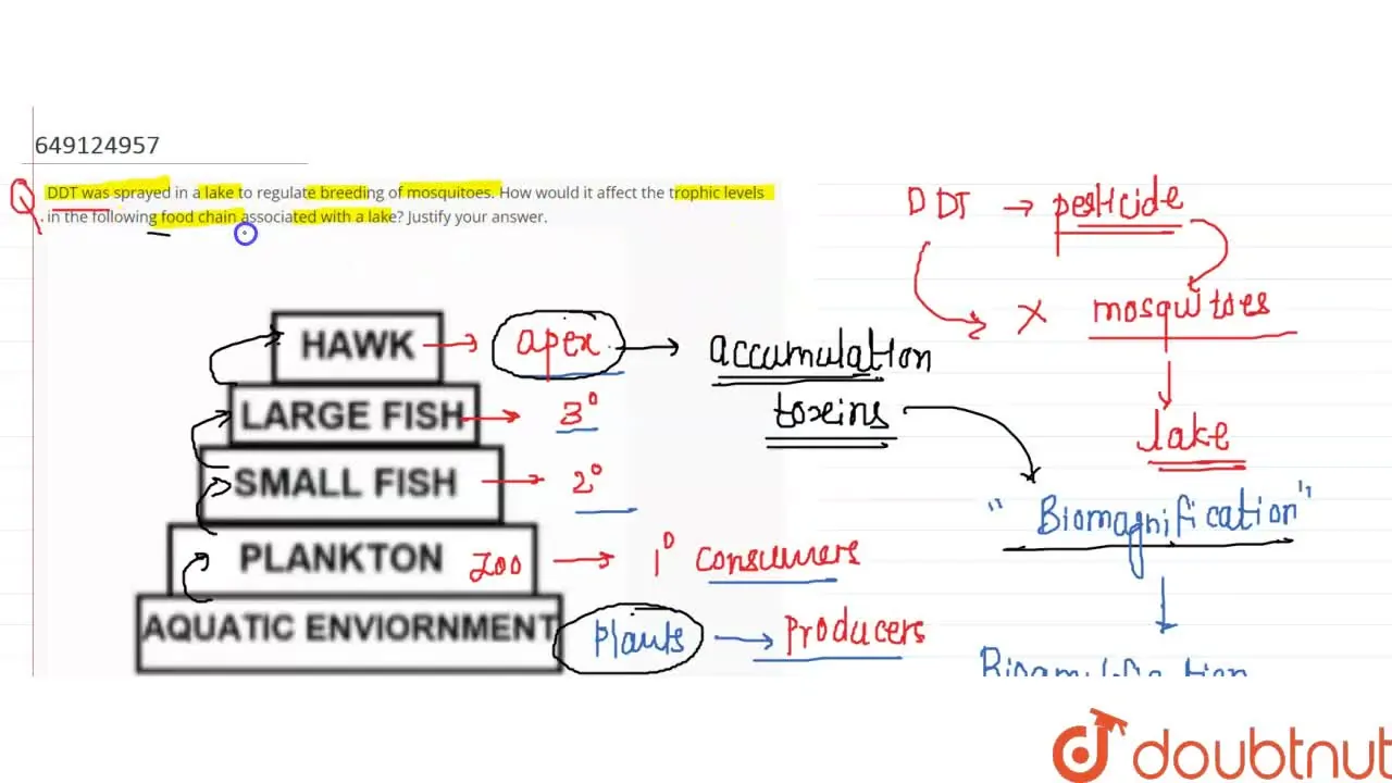 DDT was sprayed in a lake to regulate breeding of mosquitoes. How woul