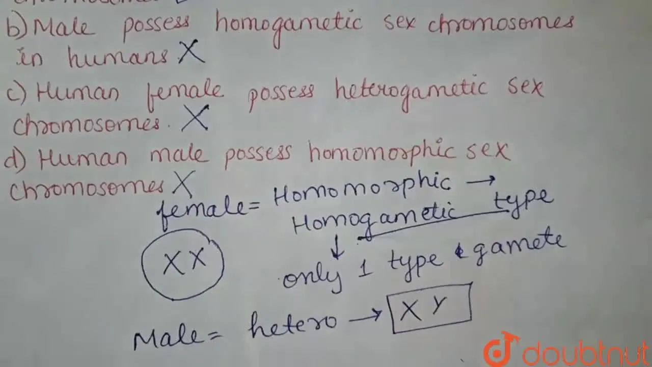 Human females possess heterogametic sex chromosomes.