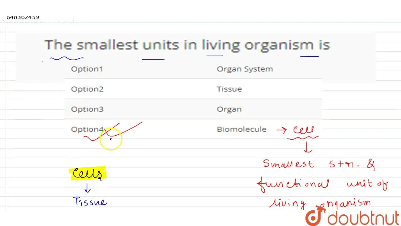 The smallest units in living organism is