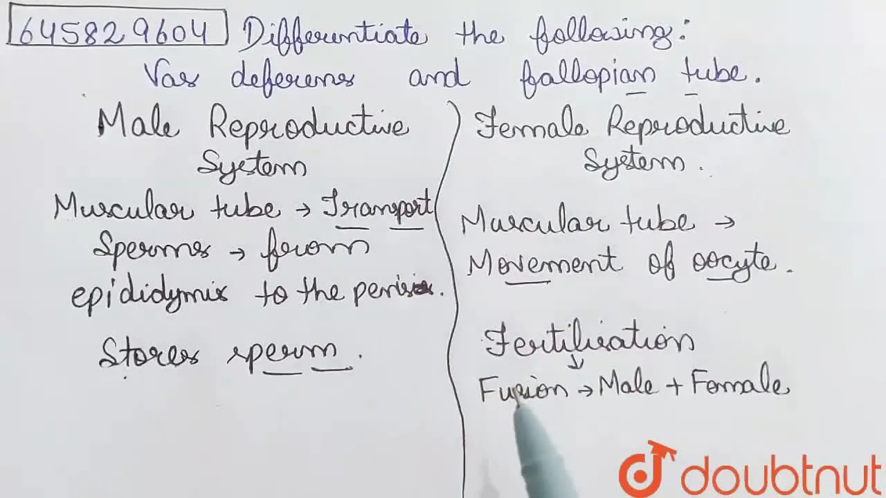 Differentiate the following ii) Vas deferens and fallopian tube