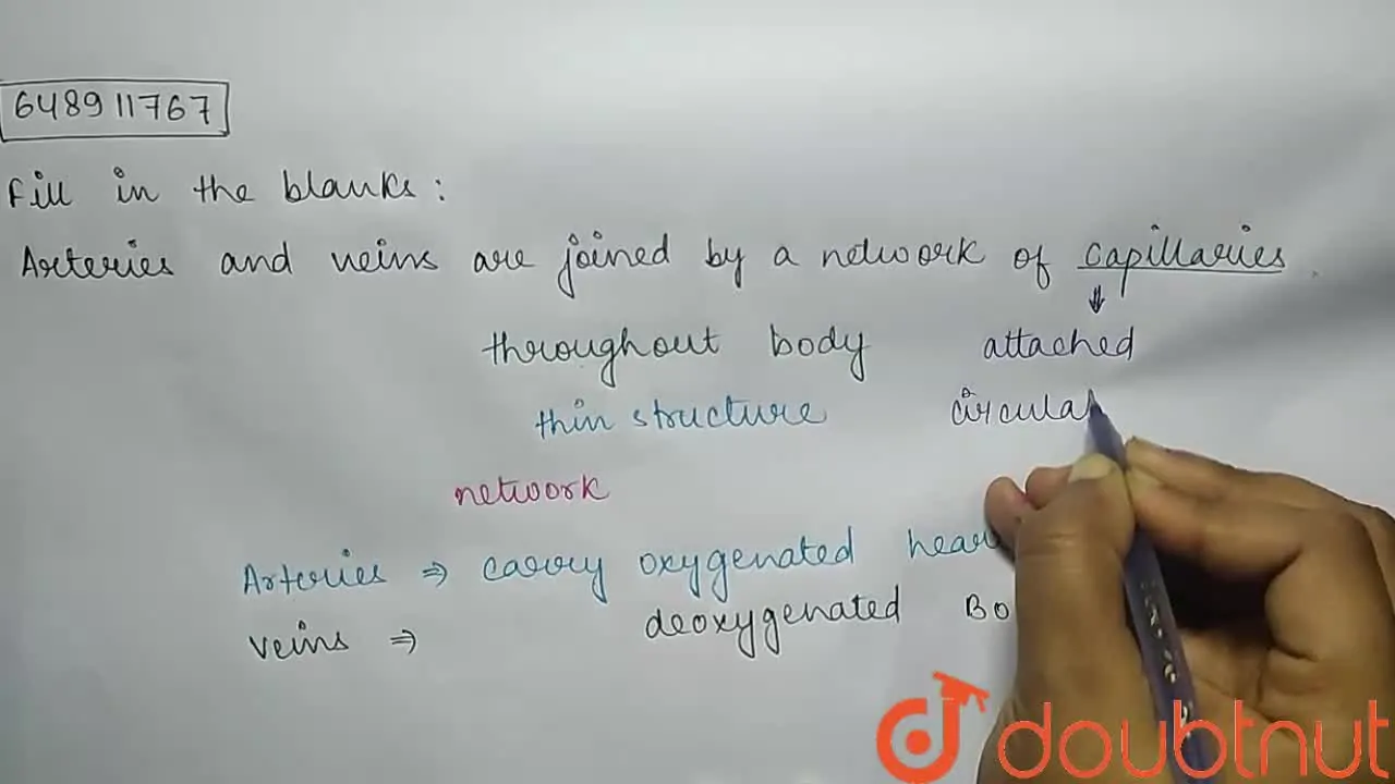 Fill in the blanks: Arteries and veins are joined by a network of ...