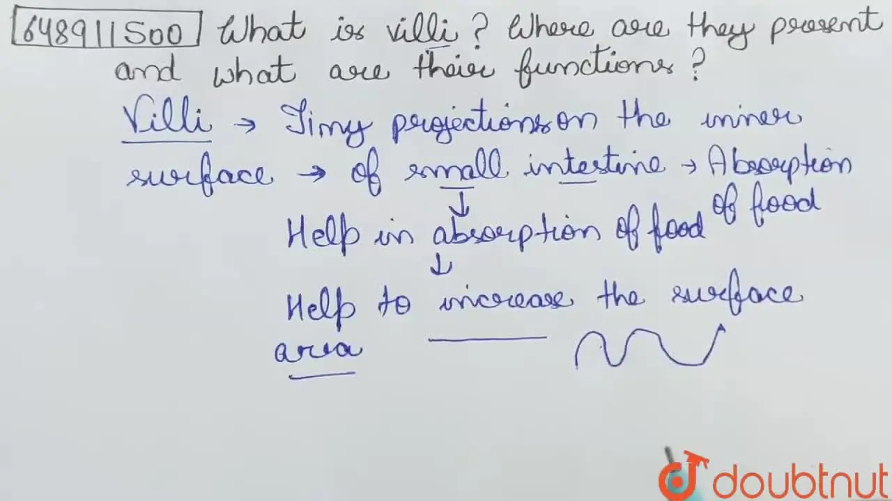 What is Villi?Where are they present and what are their functions?