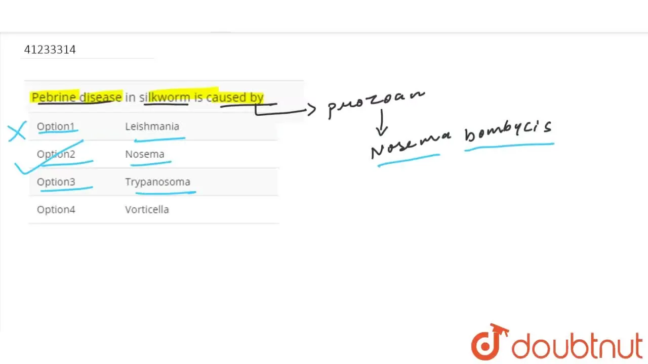 Pebrine disease in silkworm is caused by