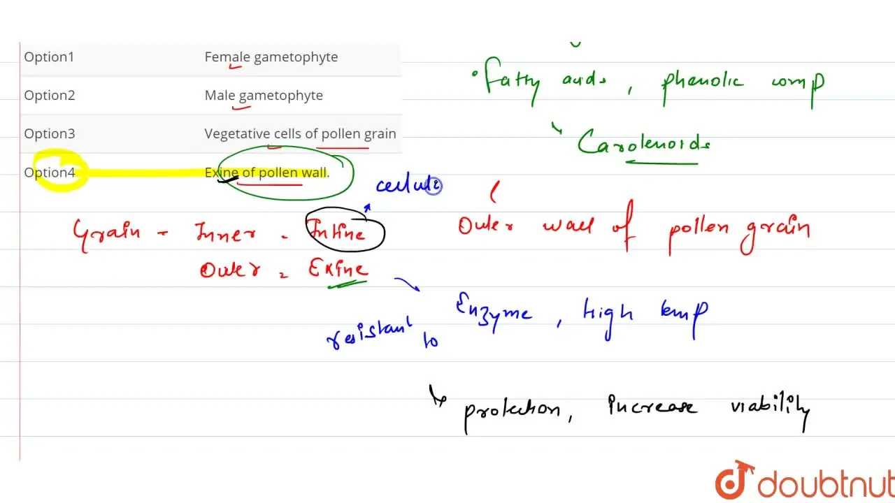 Sporopollenin occurs in