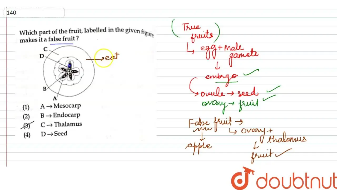 Which part of the fruit, labelled in the given figure makes it a false