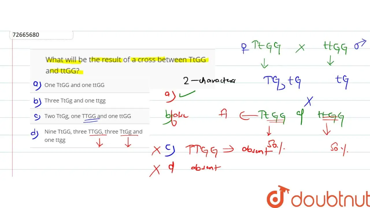 What will be the result of a cross between TtGG and ttGG?