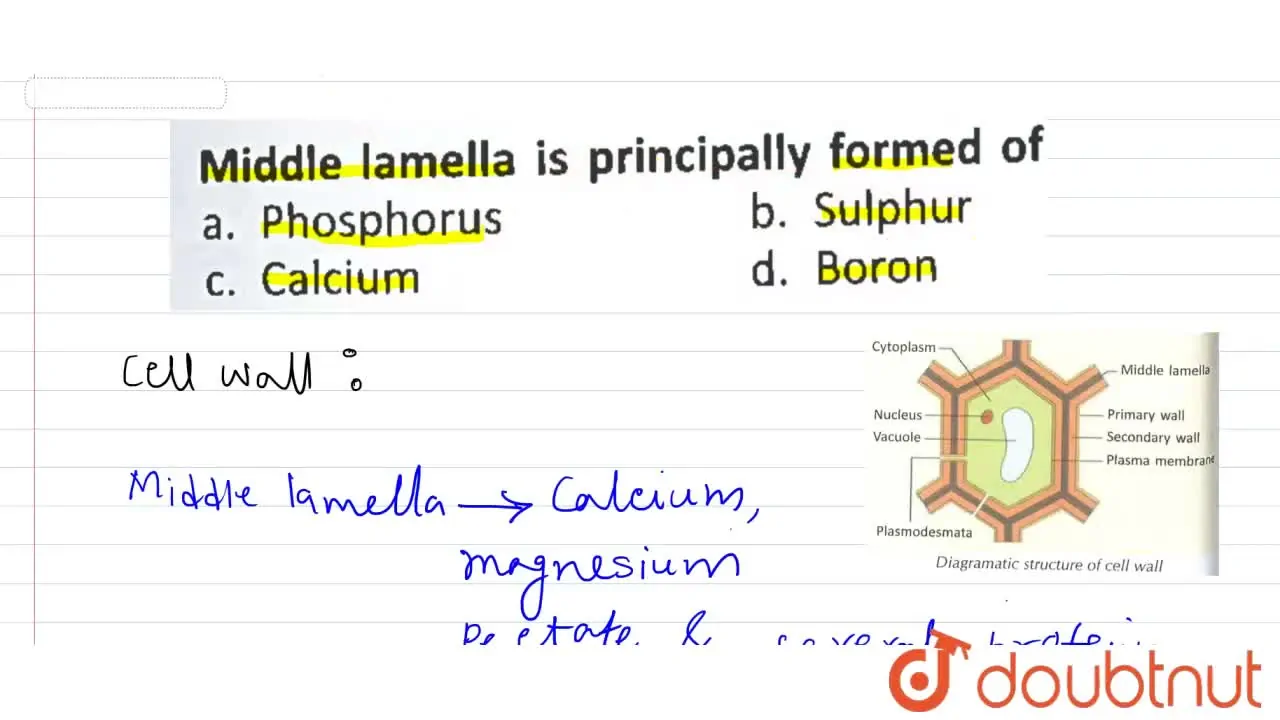 [Bengali Solution] Middle lamella is principally formed of