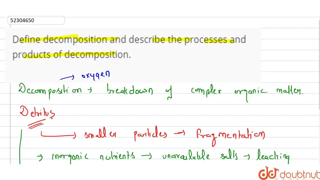Define decomposition and describe the processes and products of decomp