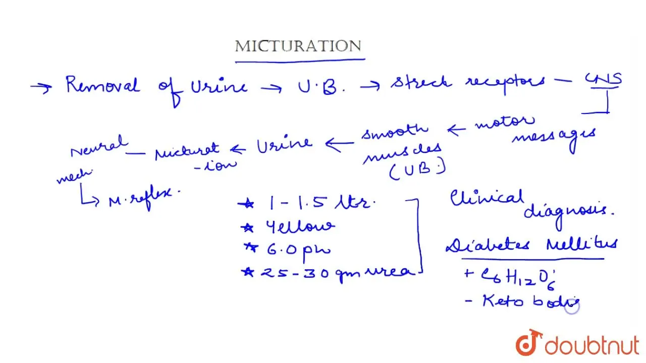 WHAT IS MICTURITION?