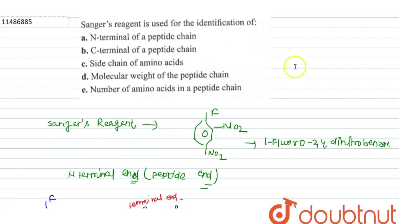Sanger's reagent is used for the identification of:
