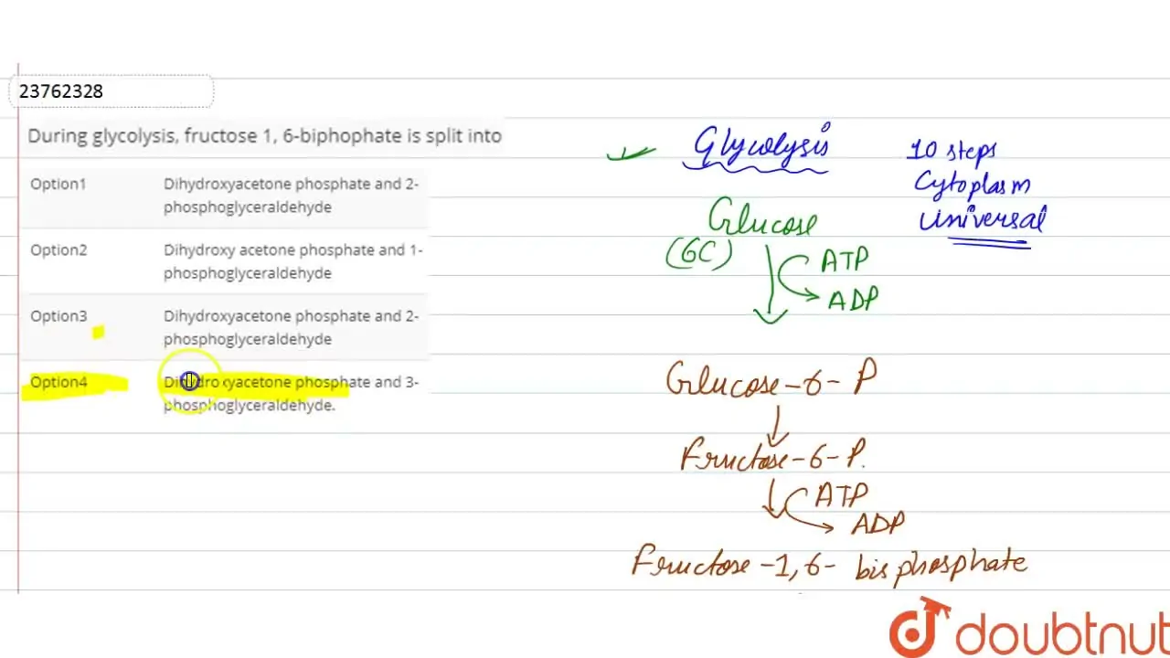 Dihydroxyacetone phosphate and 2-phosphoglycerate