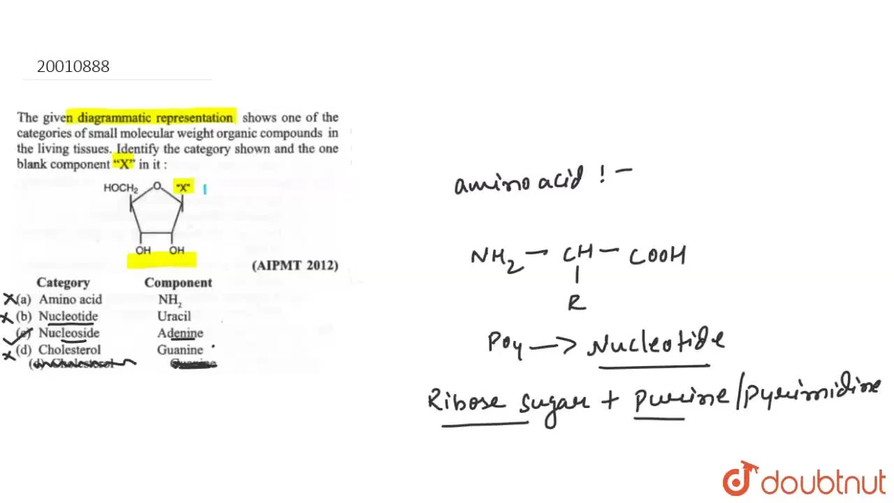 The given diagrammatic representation shows one of the categories of s