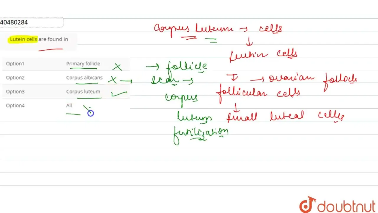 Lutein cells are found in