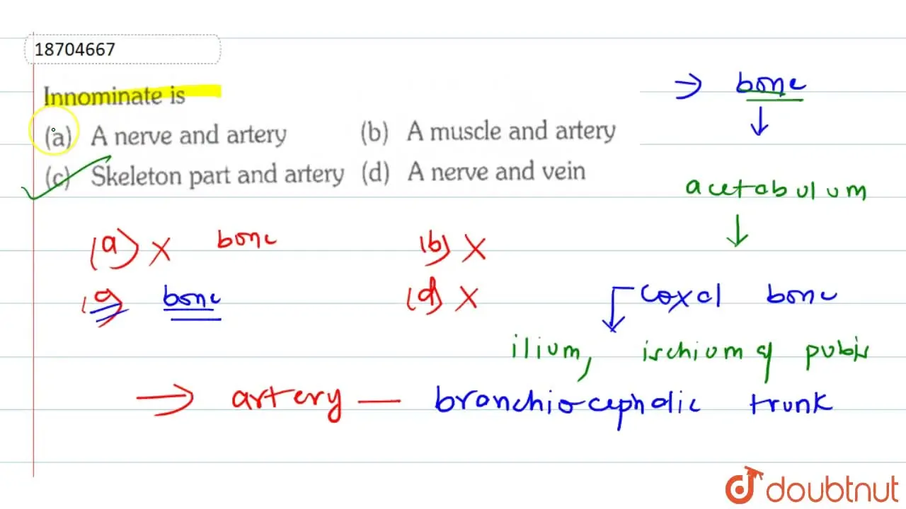 [Solved] Innominate is