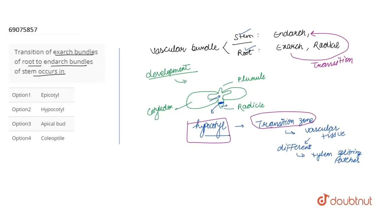 Transition of exarch bundles of root to endarch bundles of stem occurs