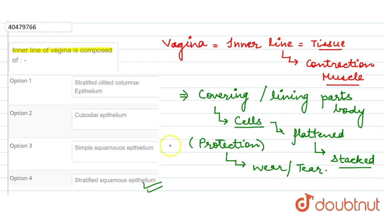 Inner line of vegina is composed of
